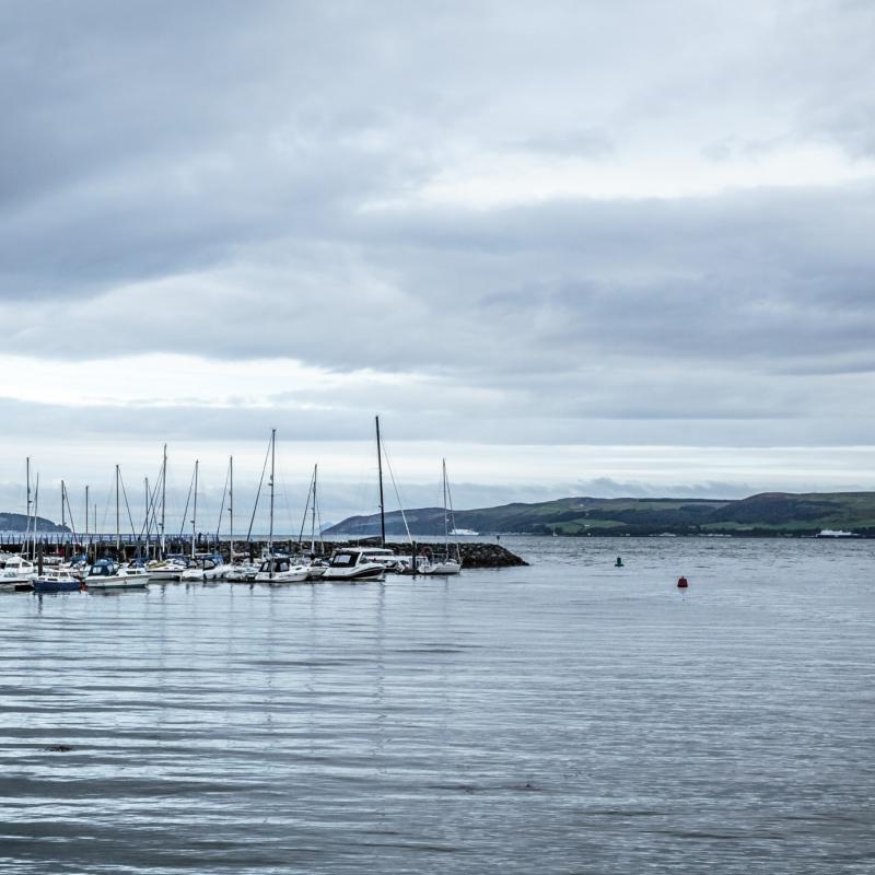 What's On | Stranraer Oyster Festival